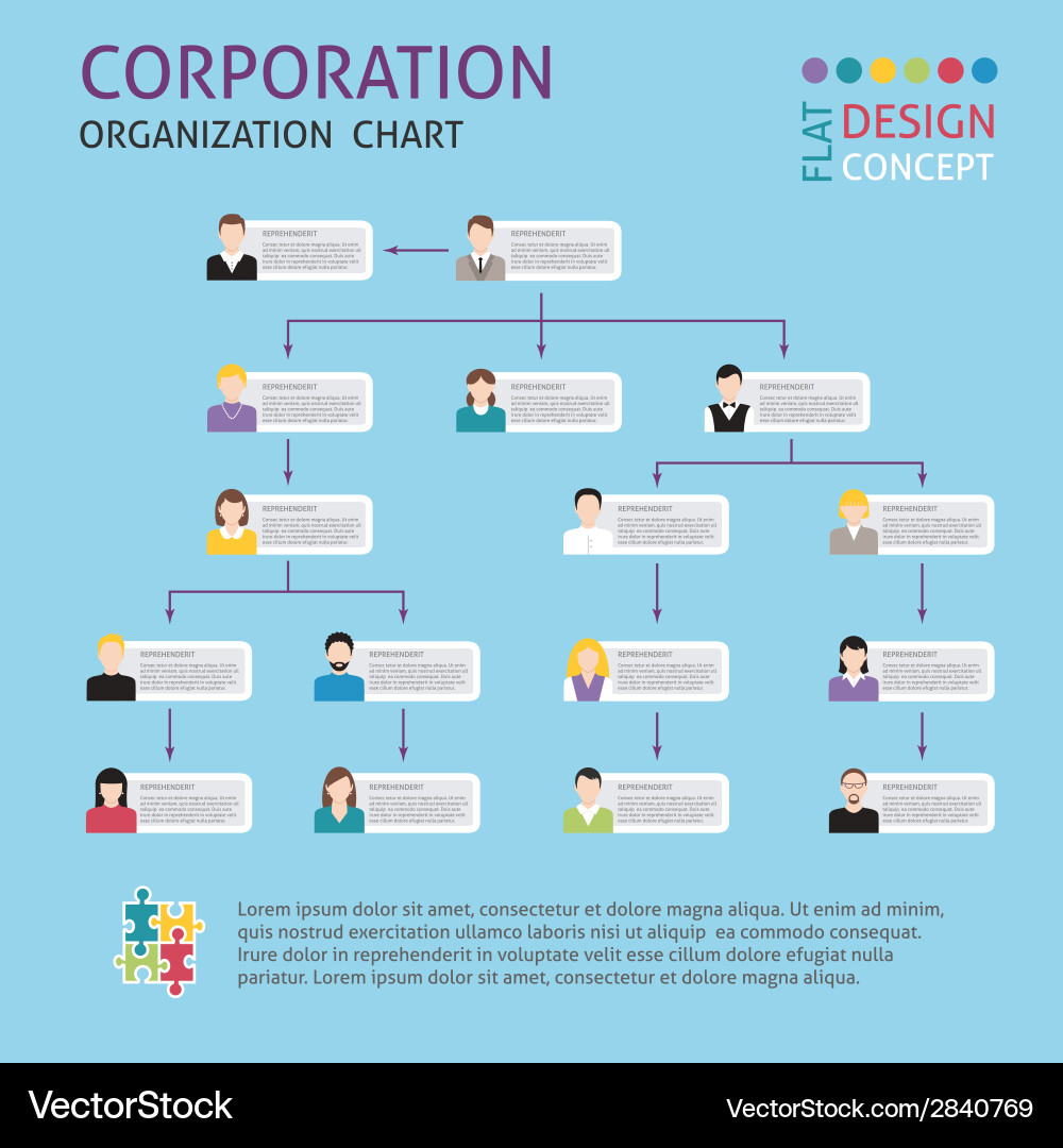 Organization Chart Set Royalty Free Vector Image
