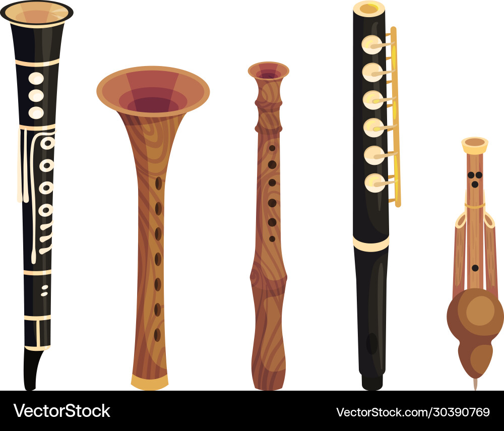 Wind wooden musical instruments isolated on white Vector Image