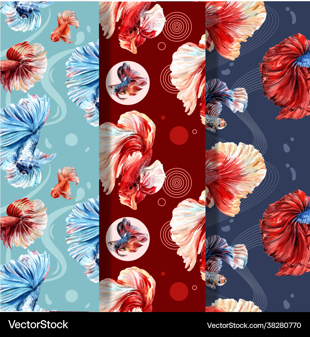Pattern template with siames fighting fish Vector Image