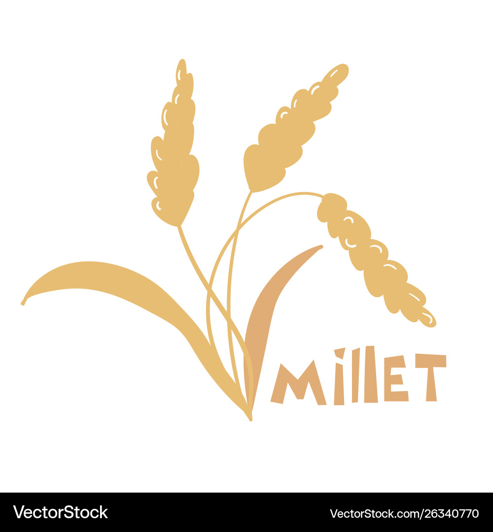 Pearl Millet Vector Images (over 150)