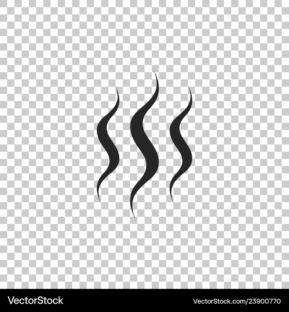 Steam icon isolated on transparent background Vector Image