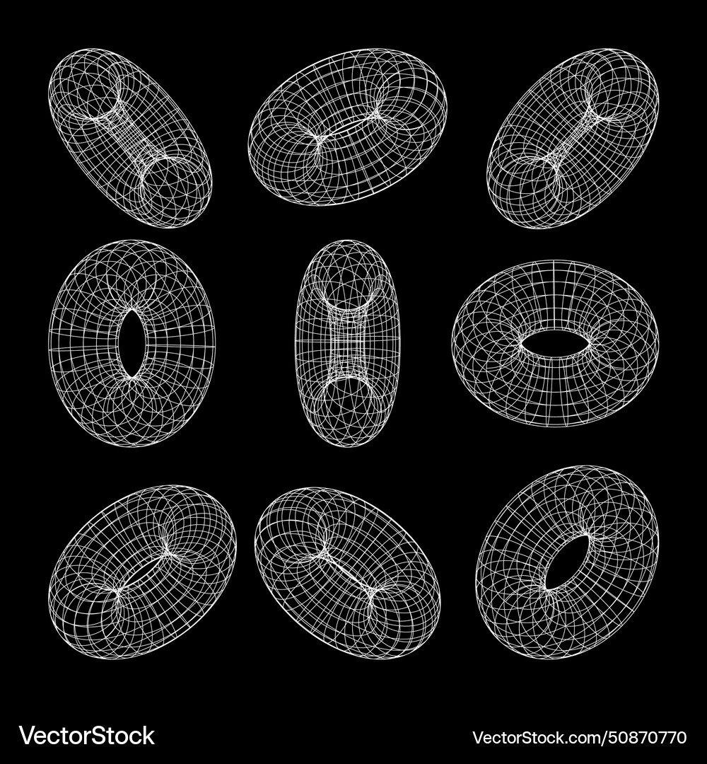 Wireframe shapes lined torus perspective mesh Vector Image