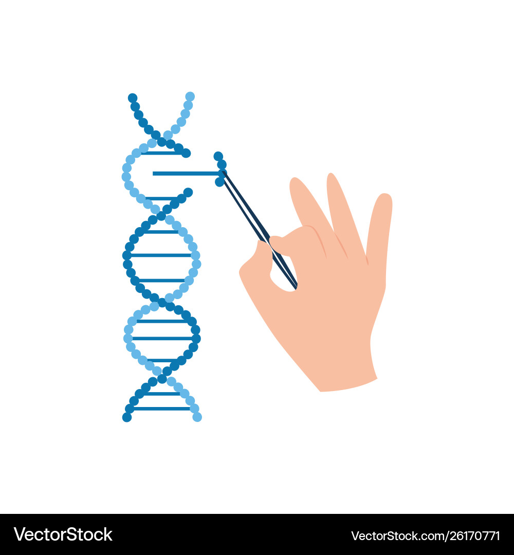 Dna research in biotechnology scientist hand Vector Image