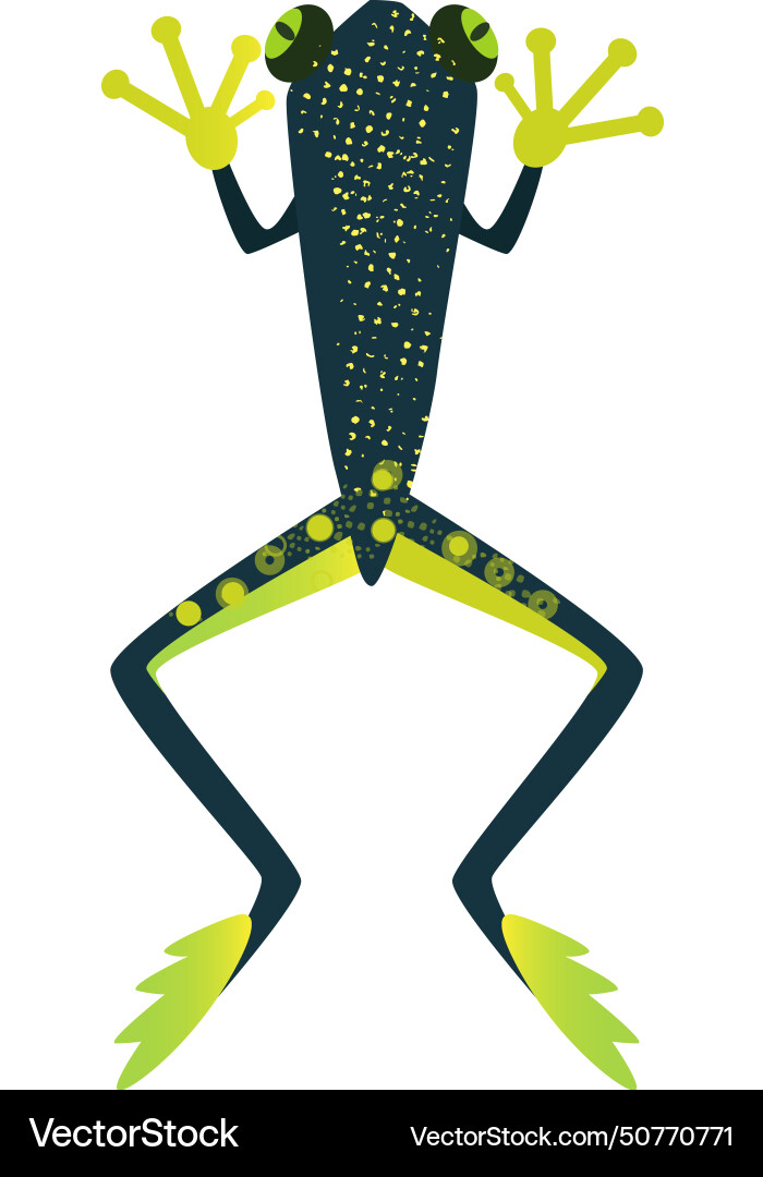 Exotic amphibia jumping frog with patterned green Vector Image