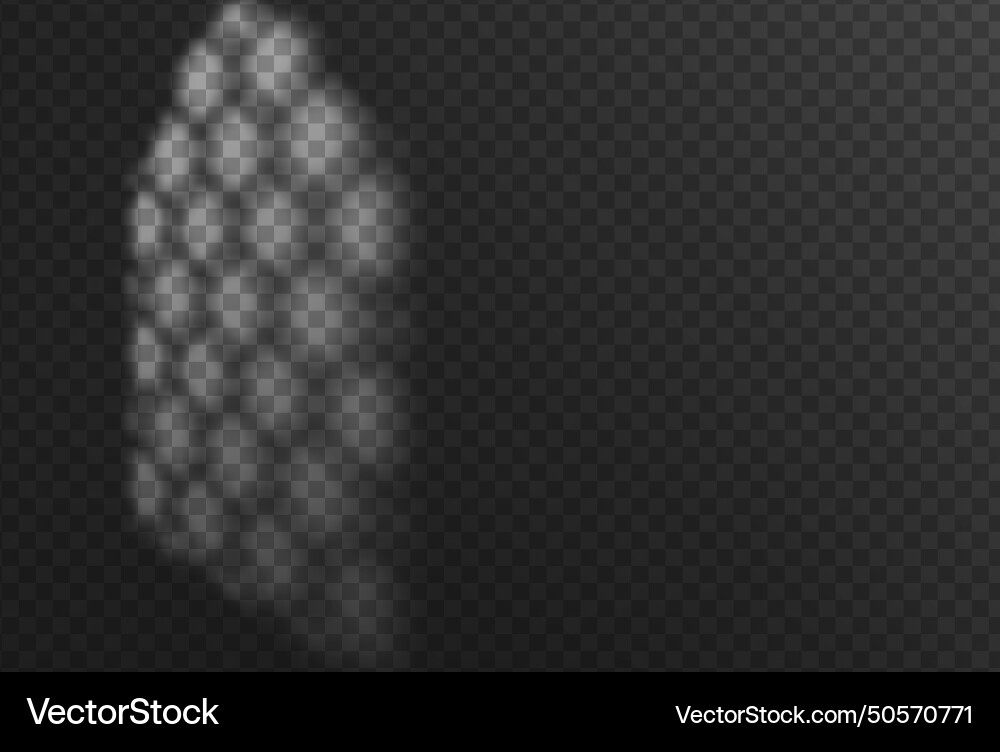 Light effect shadow overlay from arabic style Vector Image