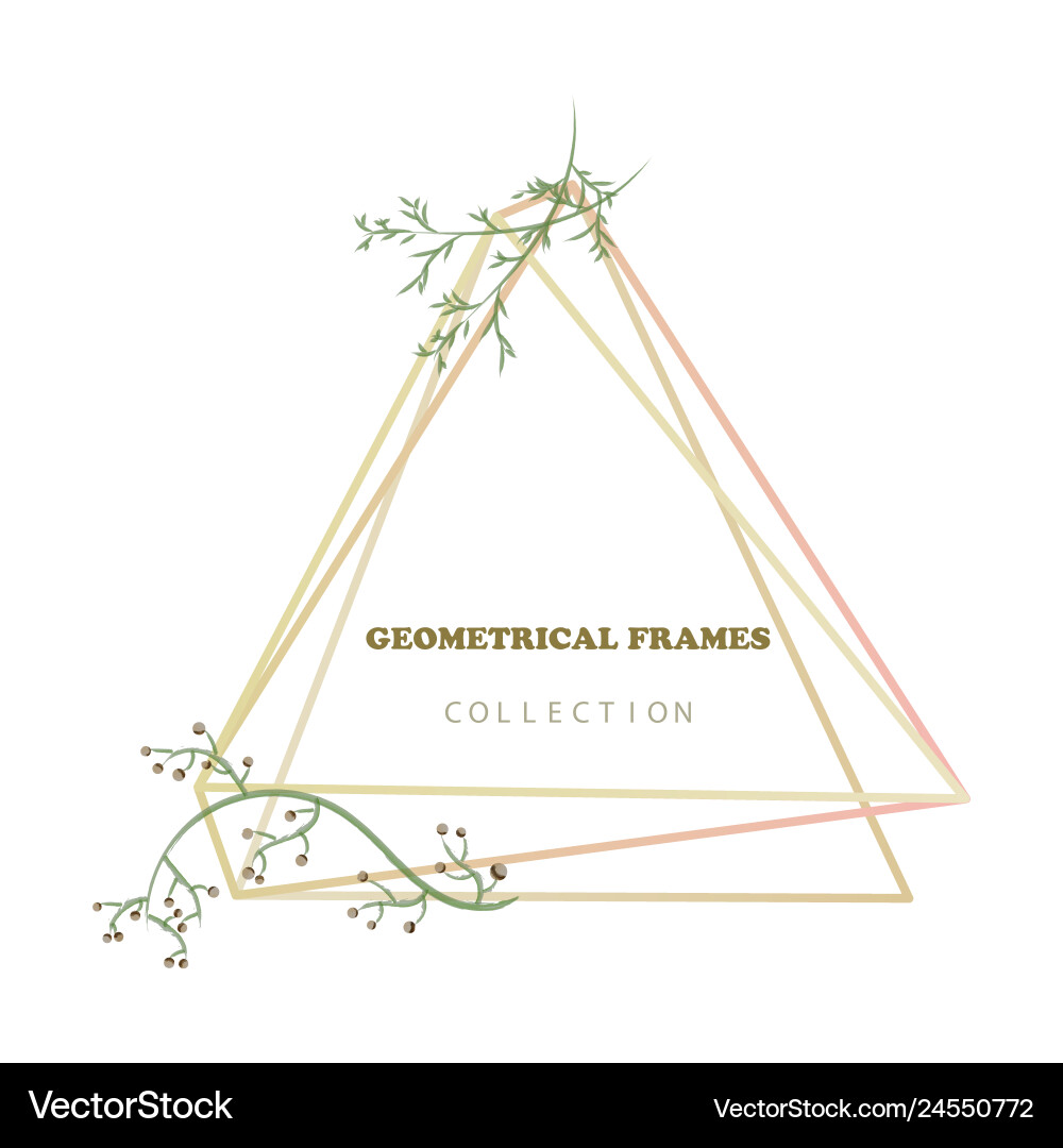 Floral elegant botanical card design Royalty Free Vector