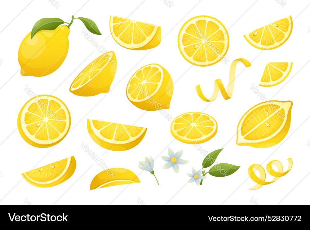 Fresh lemon fruit set Royalty Free Vector Image