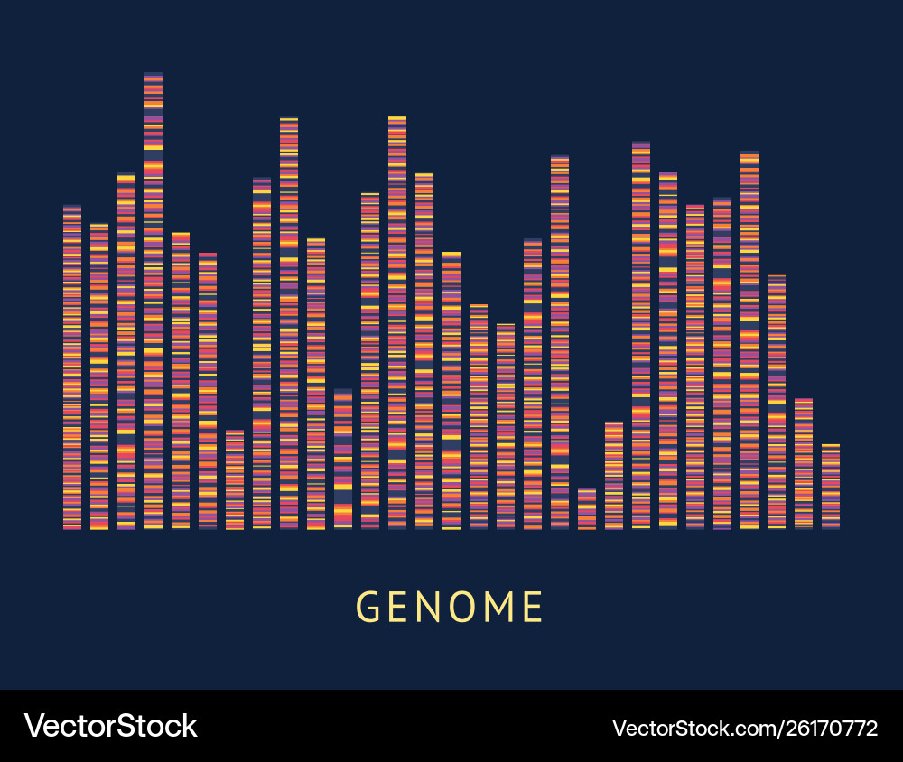 Genome data pattern visualization diagram Vector Image