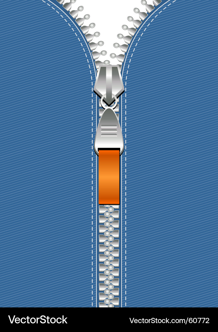 Metallic Zipper Detail Royalty Free Vector Image