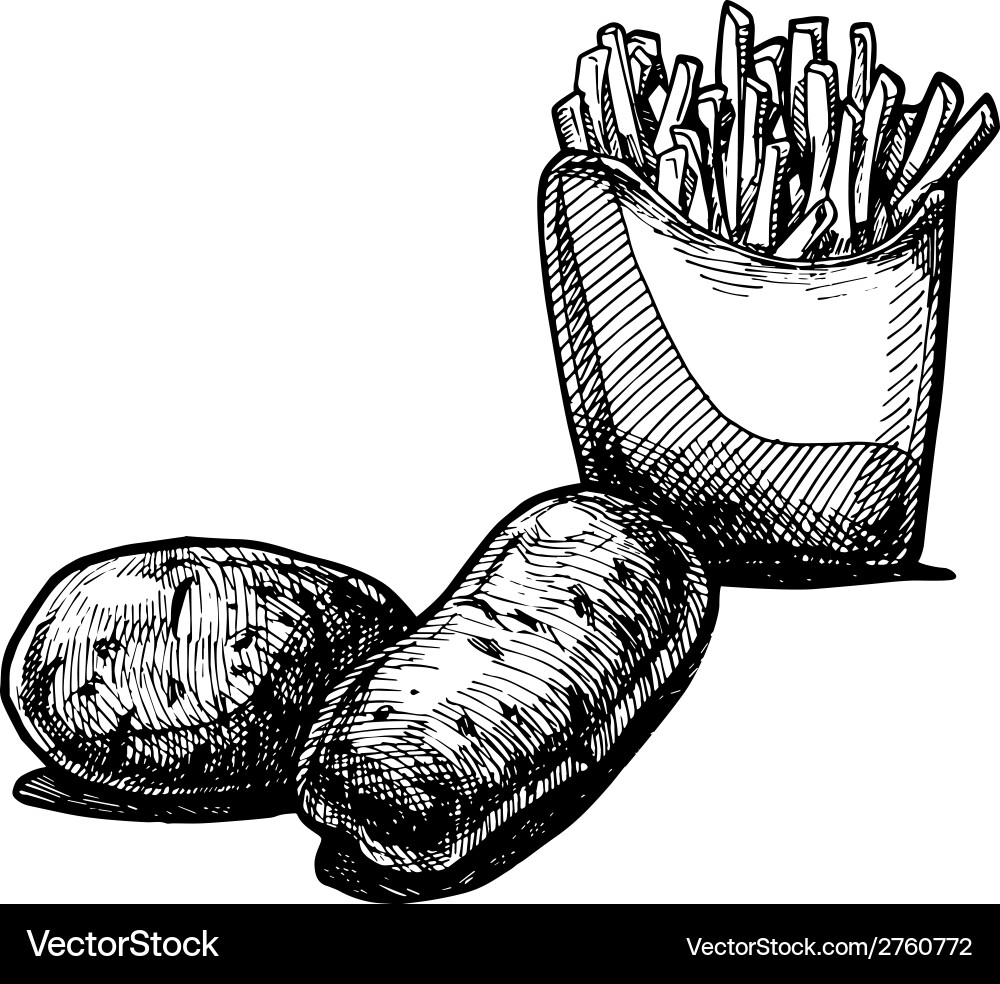 Potato Royalty Free Vector Image - VectorStock