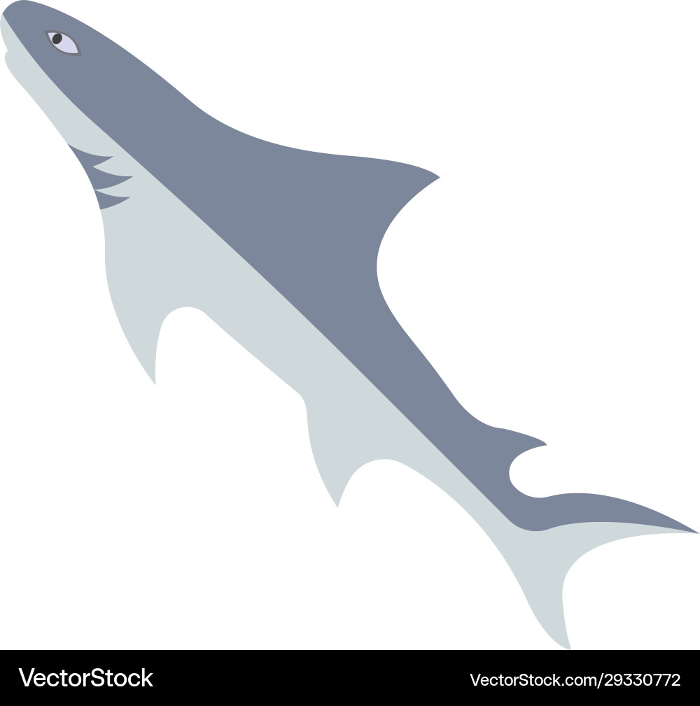 Shark Royalty Free Vector Image - VectorStock