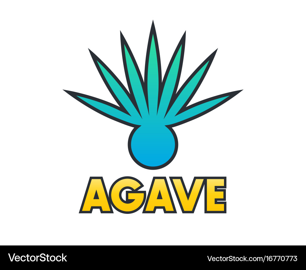 Agave plant element for logo design on white Vector Image