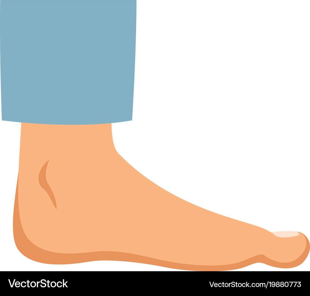 Foot Royalty Free Vector Image - VectorStock