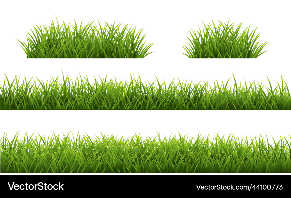 Green grass frame set isolated white background Vector Image