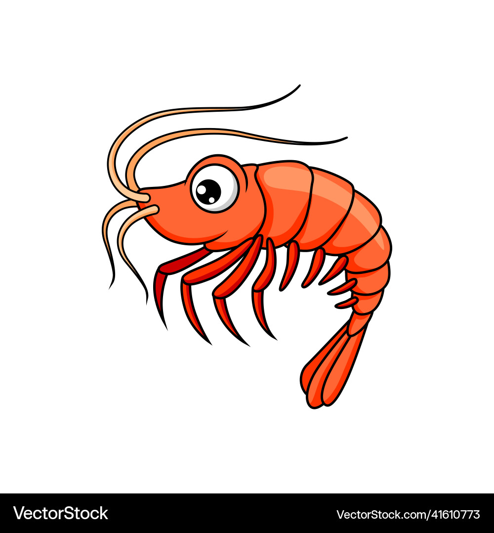 Red shrimp shellfish prawn cute cartoon character Vector Image