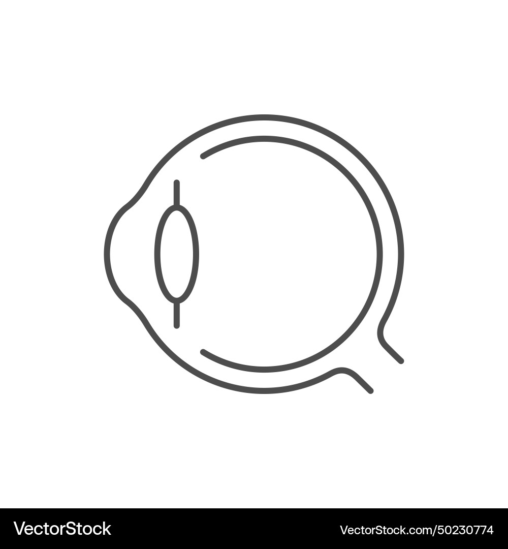 Human eyeball line outline icon Royalty Free Vector Image