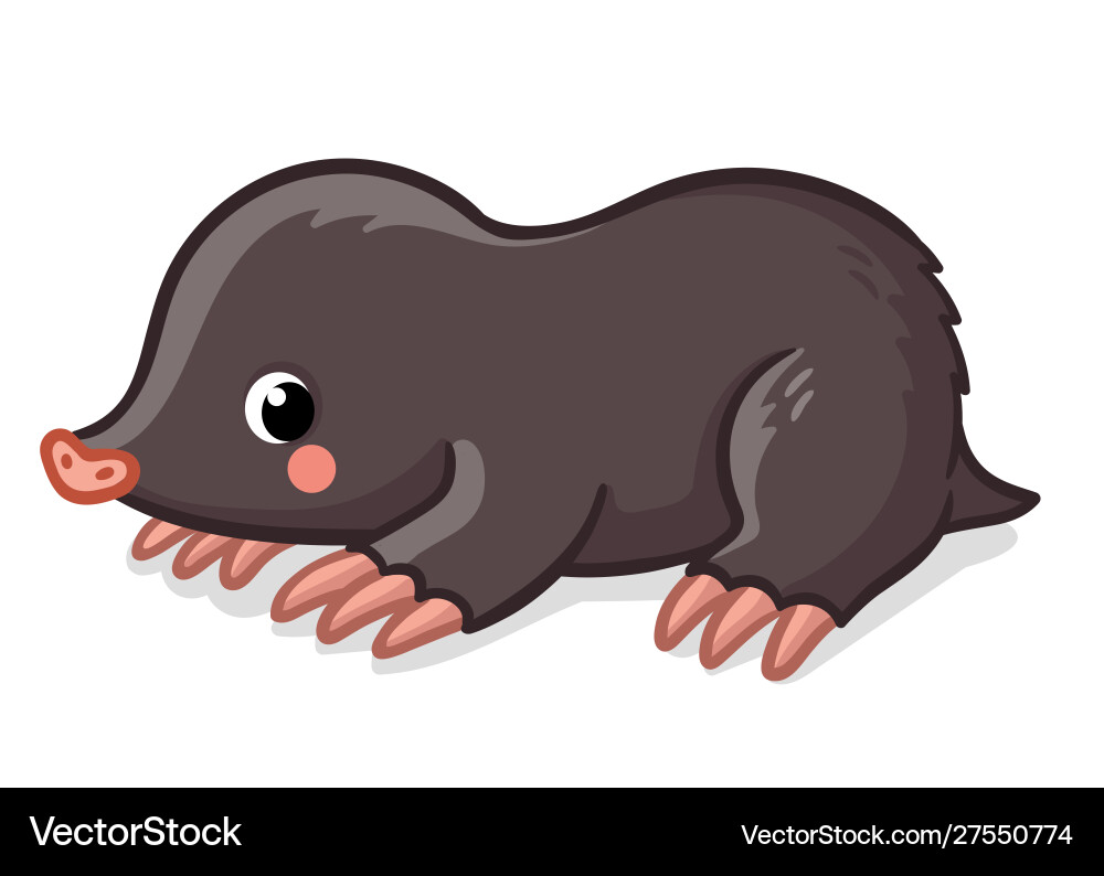 Little cute mole on white background Royalty Free Vector