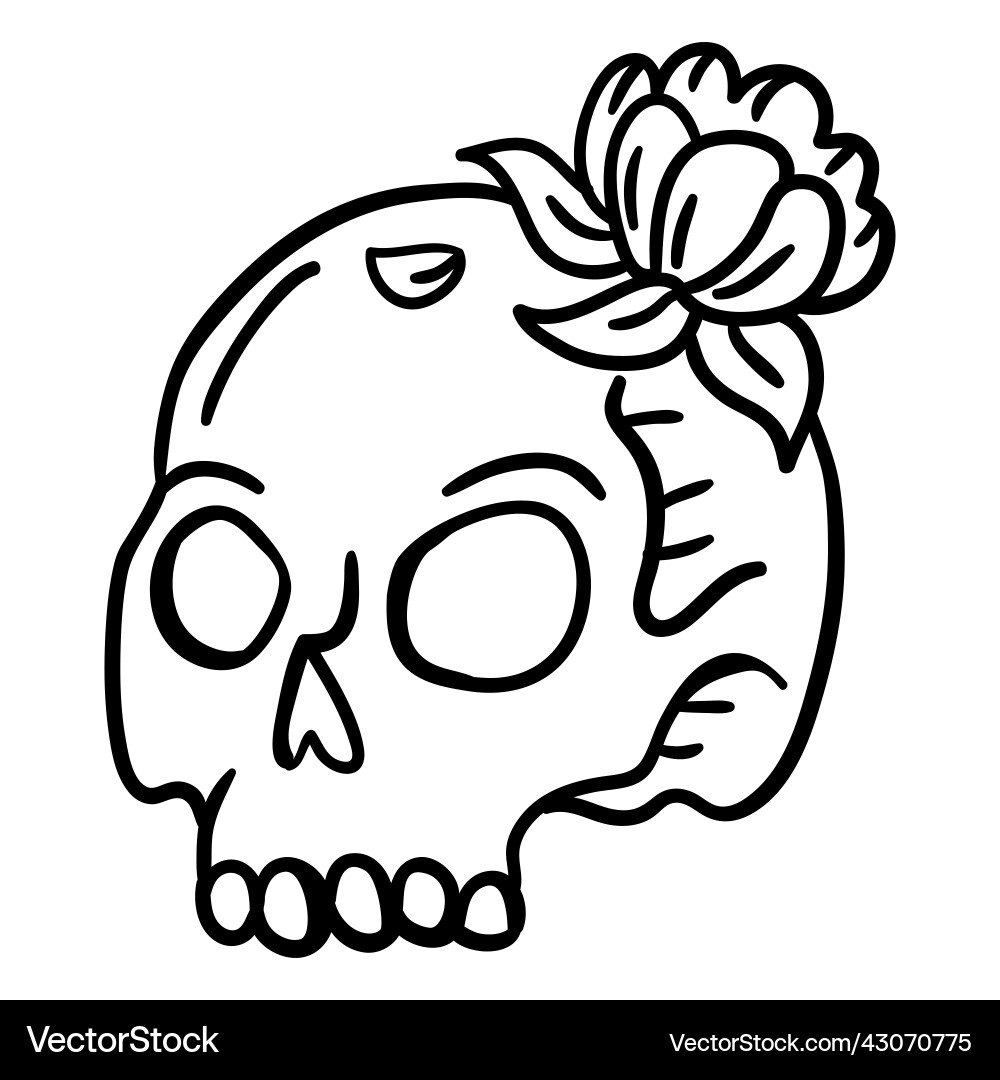 Magic skull stroke Royalty Free Vector Image - VectorStock