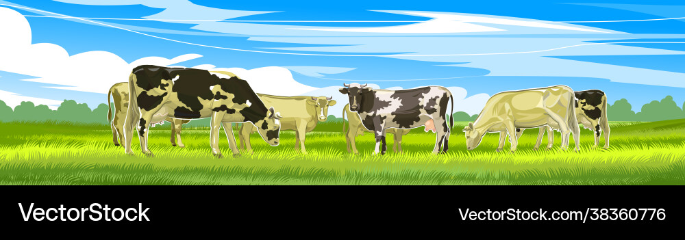 A herd cows grazes among rural hills Royalty Free Vector