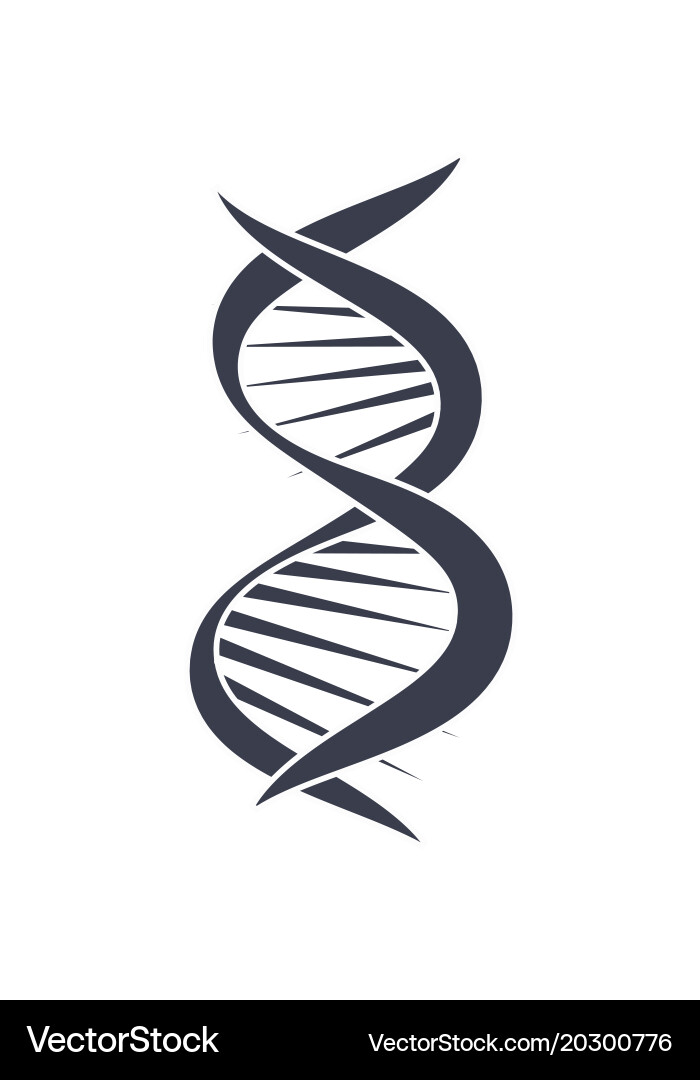 Dna deoxyribonucleic acid chain logo design icon Vector Image