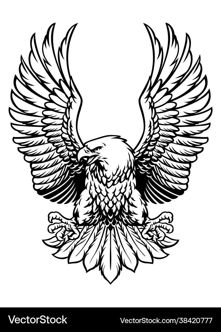 Eagle Spreading His Wings State & Union: Library To Host Exhibition Of