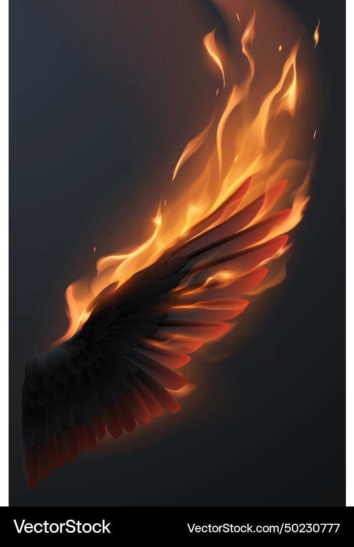 Black wing with fire flame effect Royalty Free Vector Image