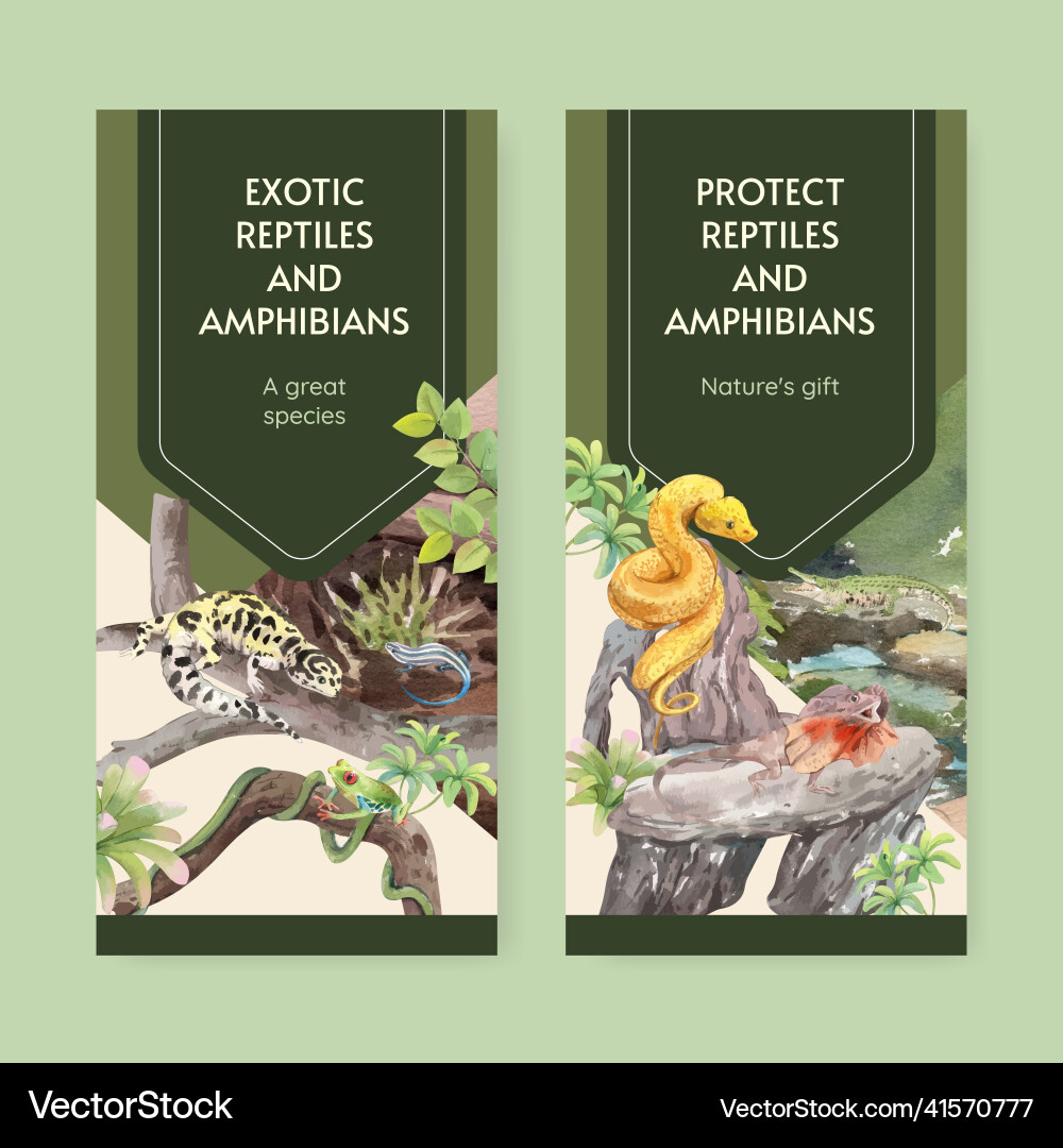 Flyer template with reptiles and amphibians Vector Image