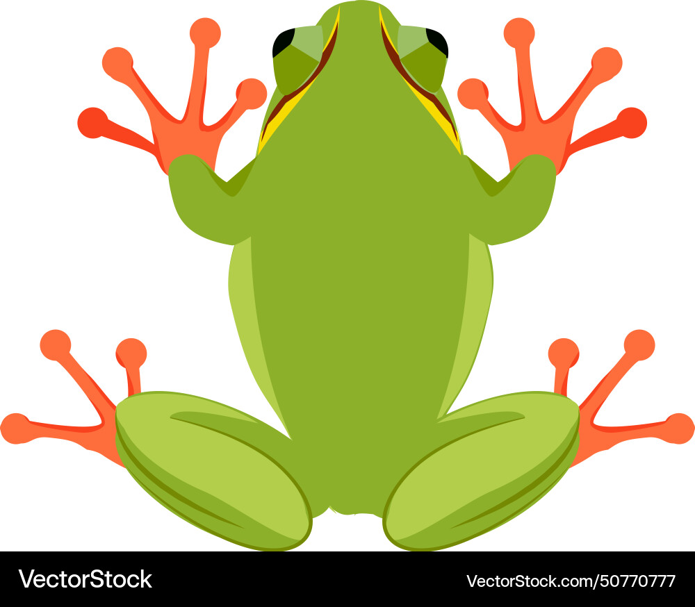 Green frog jumping wild animal toad top view Vector Image
