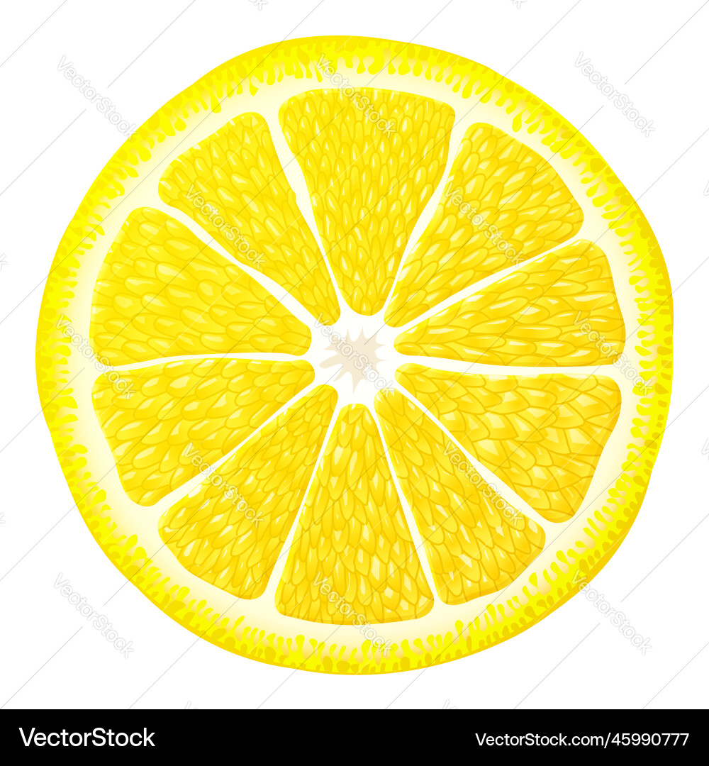 Lemon slice close up Royalty Free Vector Image