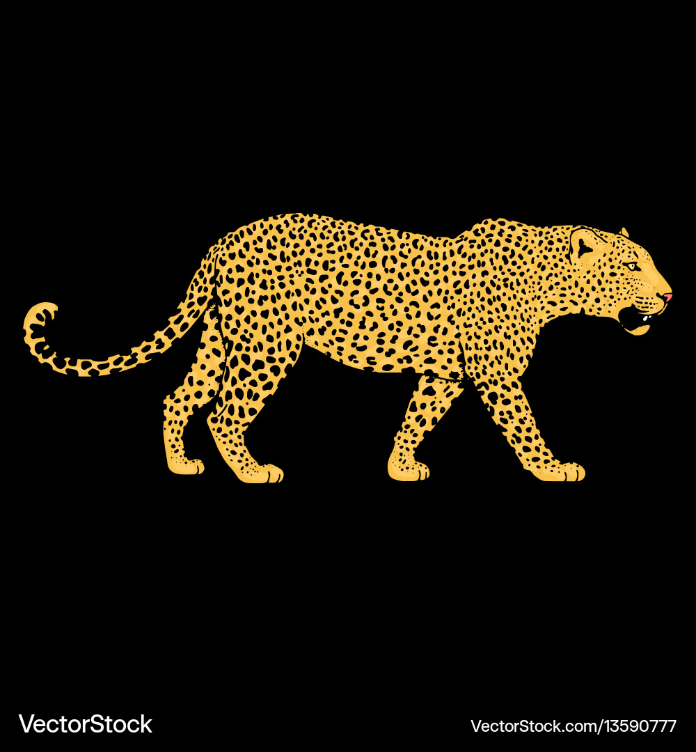 Leopard Face Print Royalty Free Vector Image - VectorStock