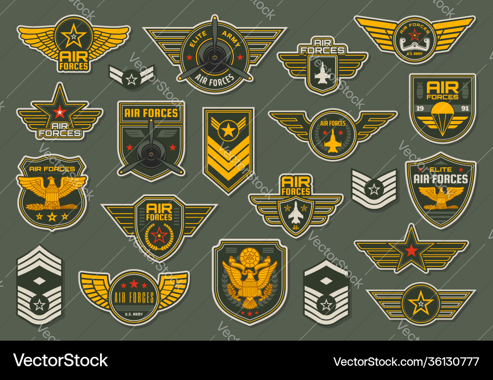 Military Air Force Badges & Chevrons Vector Image