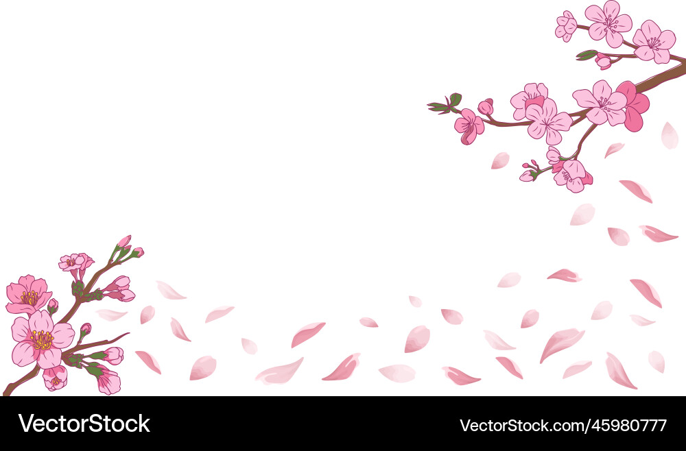 Sakura Blossom Spring Background Royalty Free Vector Image