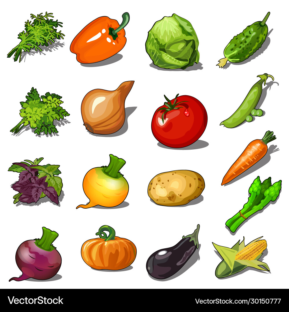 Set ripe vegetables isolated on white Royalty Free Vector