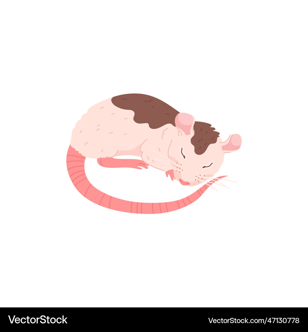 Sleeping cute rat flat cartoon Royalty Free Vector Image