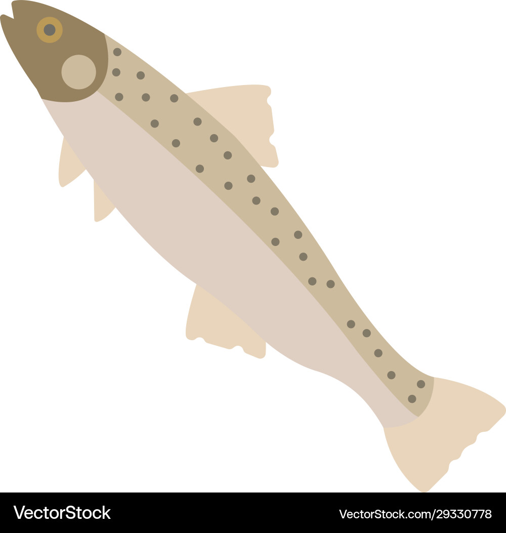 Trout Royalty Free Vector Image - VectorStock