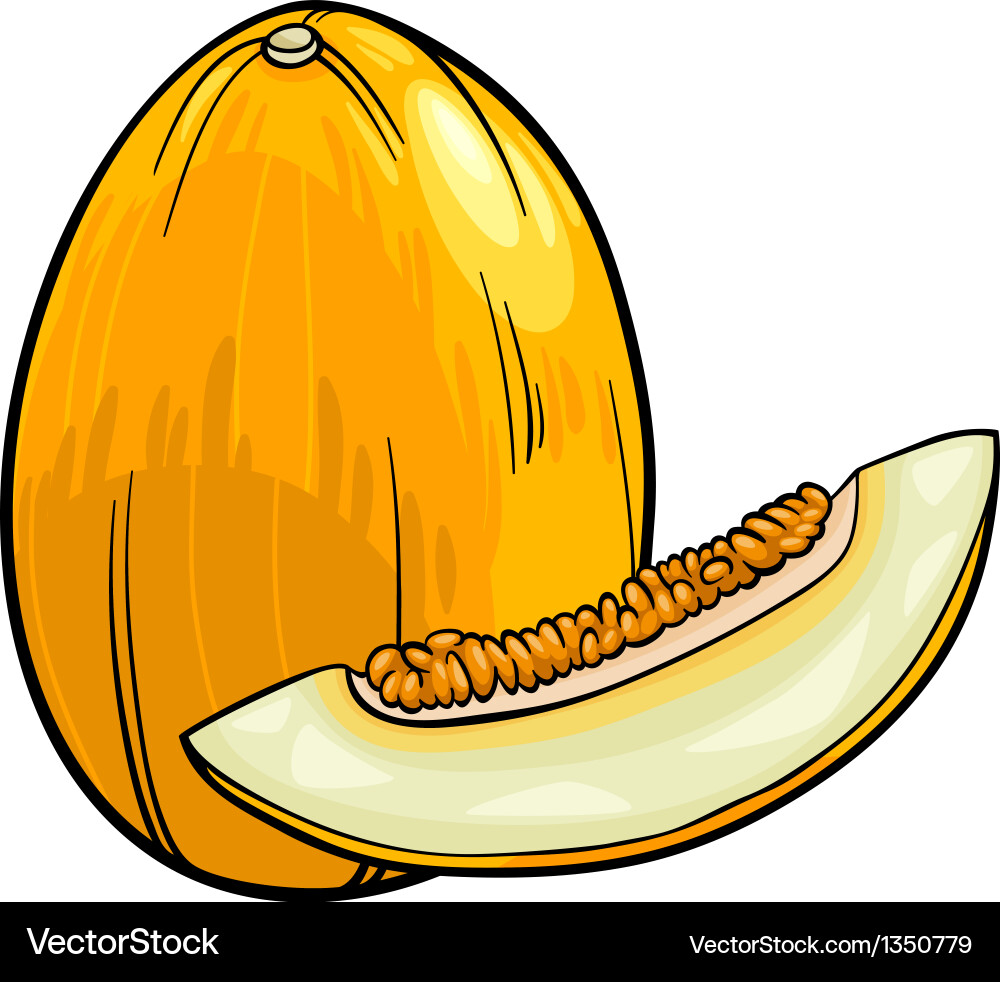Melon fruit cartoon Royalty Free Vector Image - VectorStock