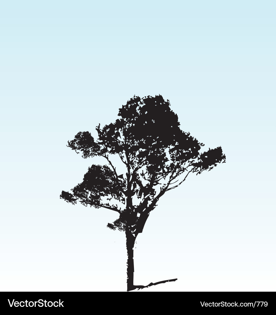 Pine tree Royalty Free Vector Image - VectorStock