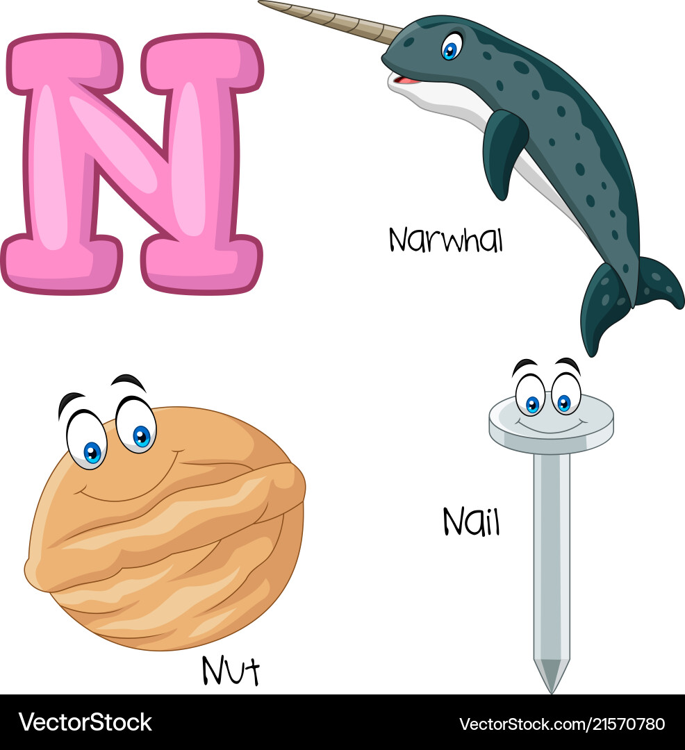 N Letter Alphabet Nut Royalty Free Vector Image