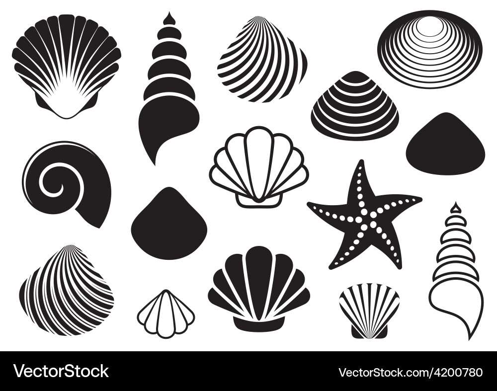 Seashell Outline Vector Images (over 7,600)