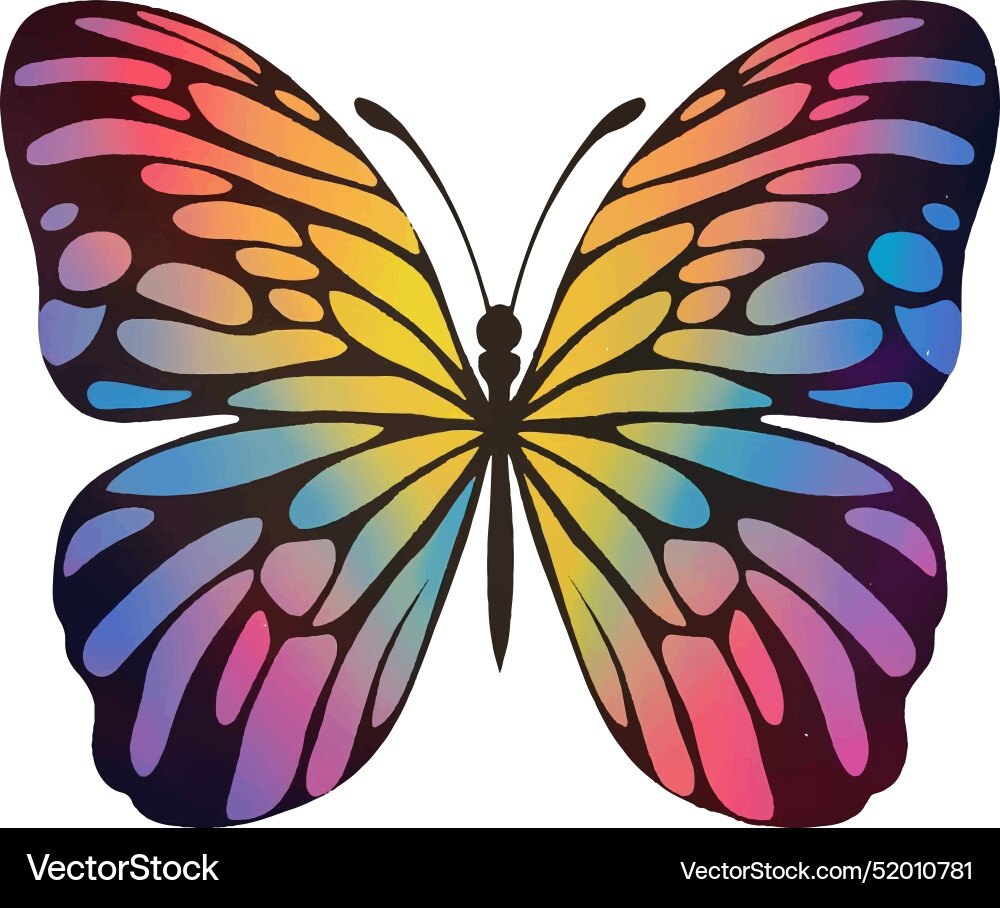Colorful butterflies art Royalty Free Vector Image