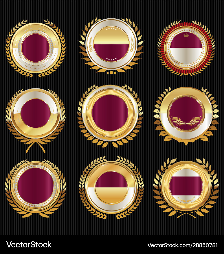 Empty golden labels retro vintage collection 6 Vector Image