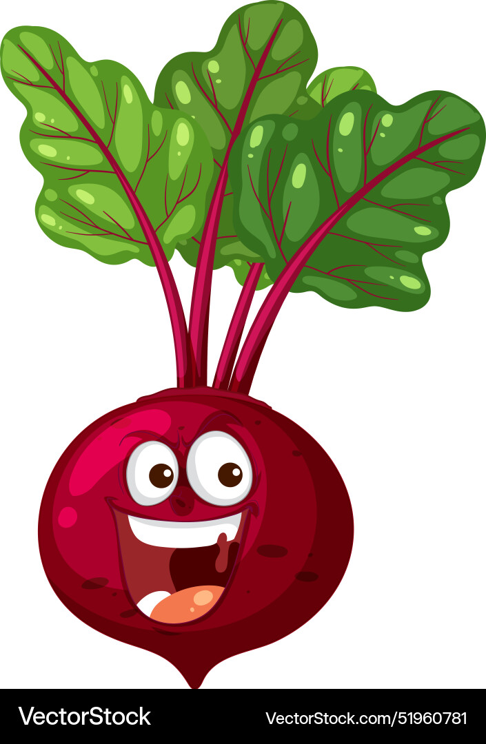 Smiling beetroot with green leaves Royalty Free Vector Image