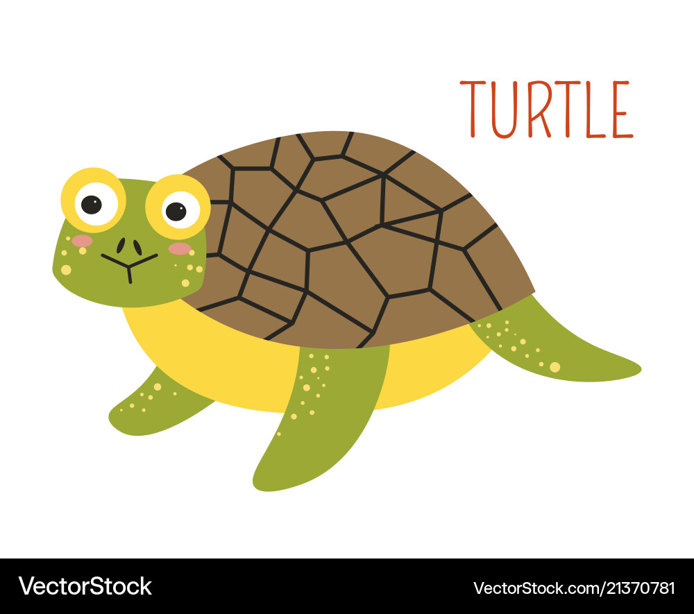 Turtle with shell cartoon childish book character Vector Image