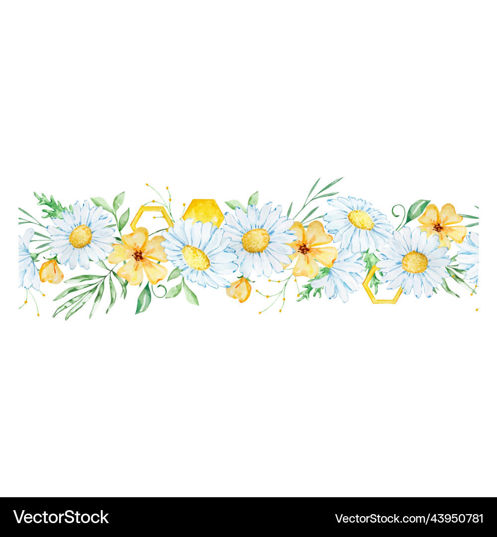 Watercolor Daisy Floral Border Royalty Free Vector Image