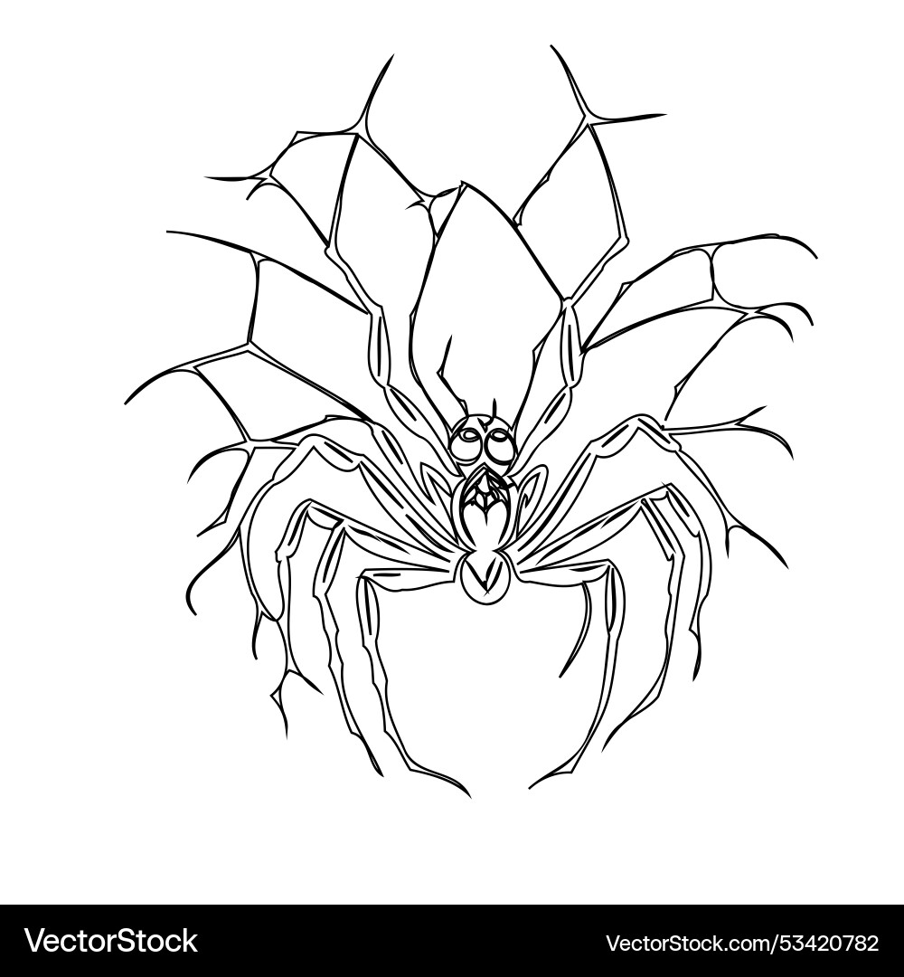 Spider halloween sketch outline Royalty Free Vector Image