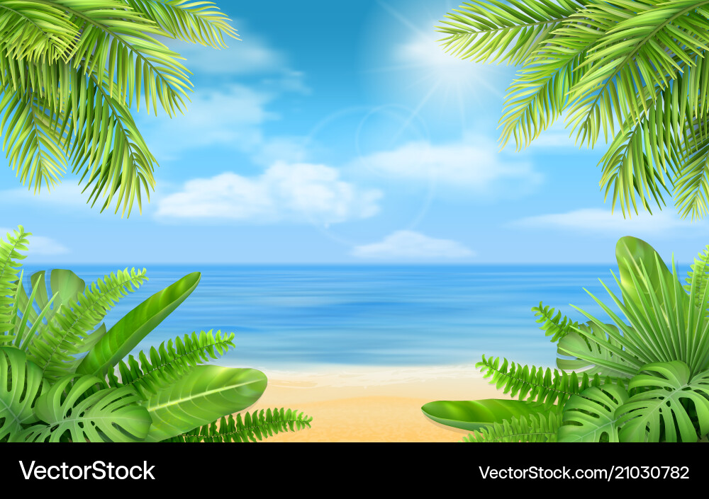 Tropical Beach Landscape Royalty Free Vector Image