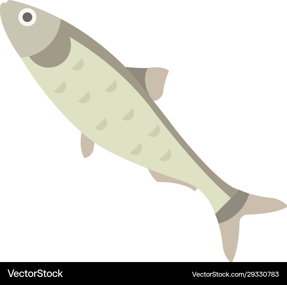 Herring Royalty Free Vector Image - VectorStock