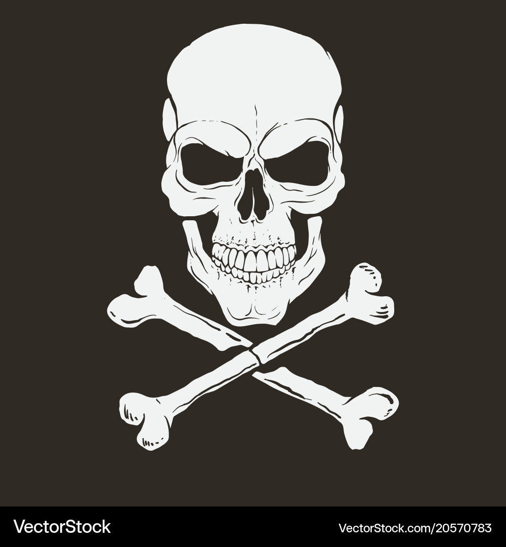 Pirate logo with skull and bones Royalty Free Vector Image
