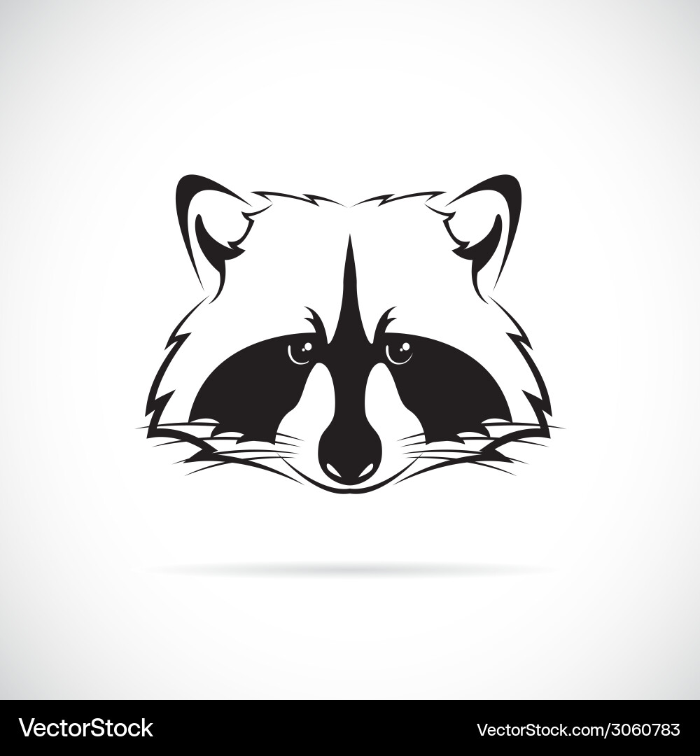 Raccoons Royalty Free Vector Image - VectorStock