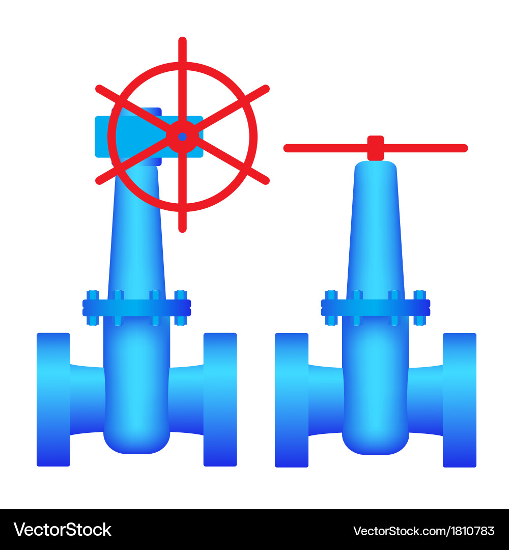 Two images the valves Royalty Free Vector Image